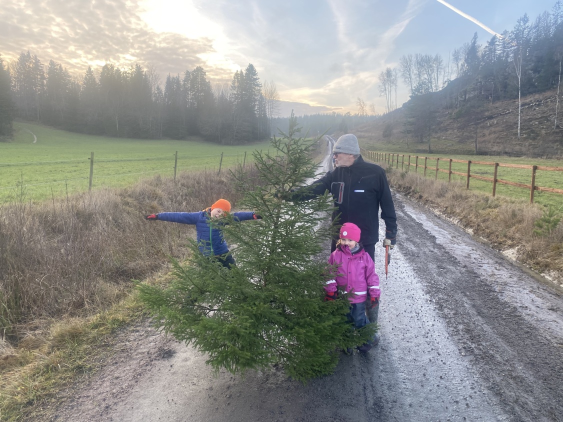 Julgranstjuvar | Ekeby Gård