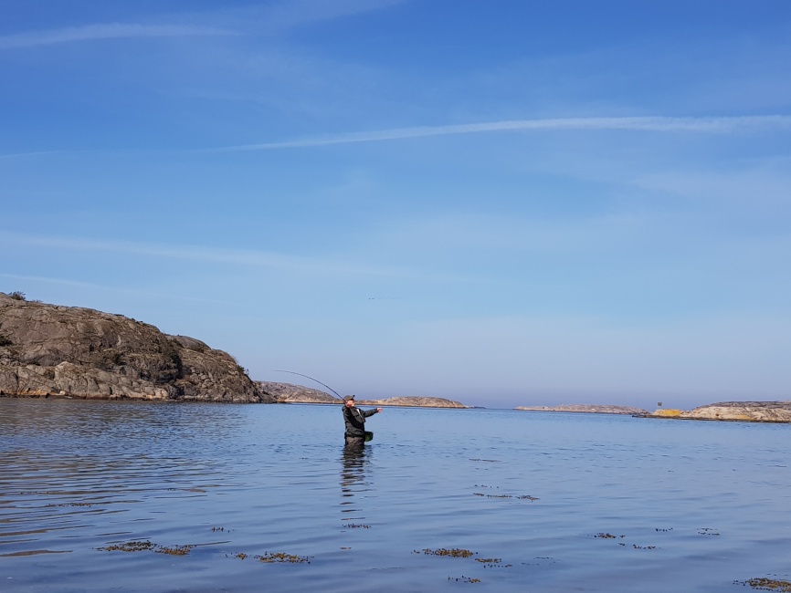 Startsida | dest. Grebbestad