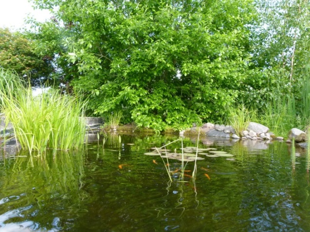 Dammprodukter & vattenstenar l Dammcenter i Önnestad