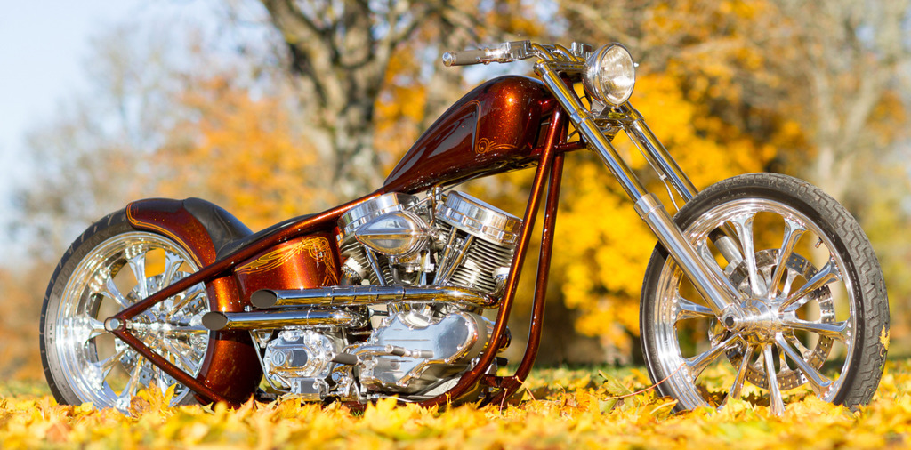 Home | UCC - Unique Custom Cycles